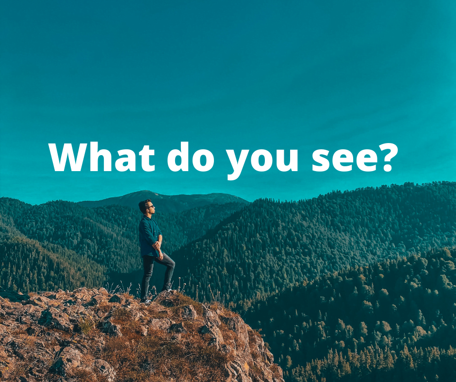 What Do You See? - Radius Ministries